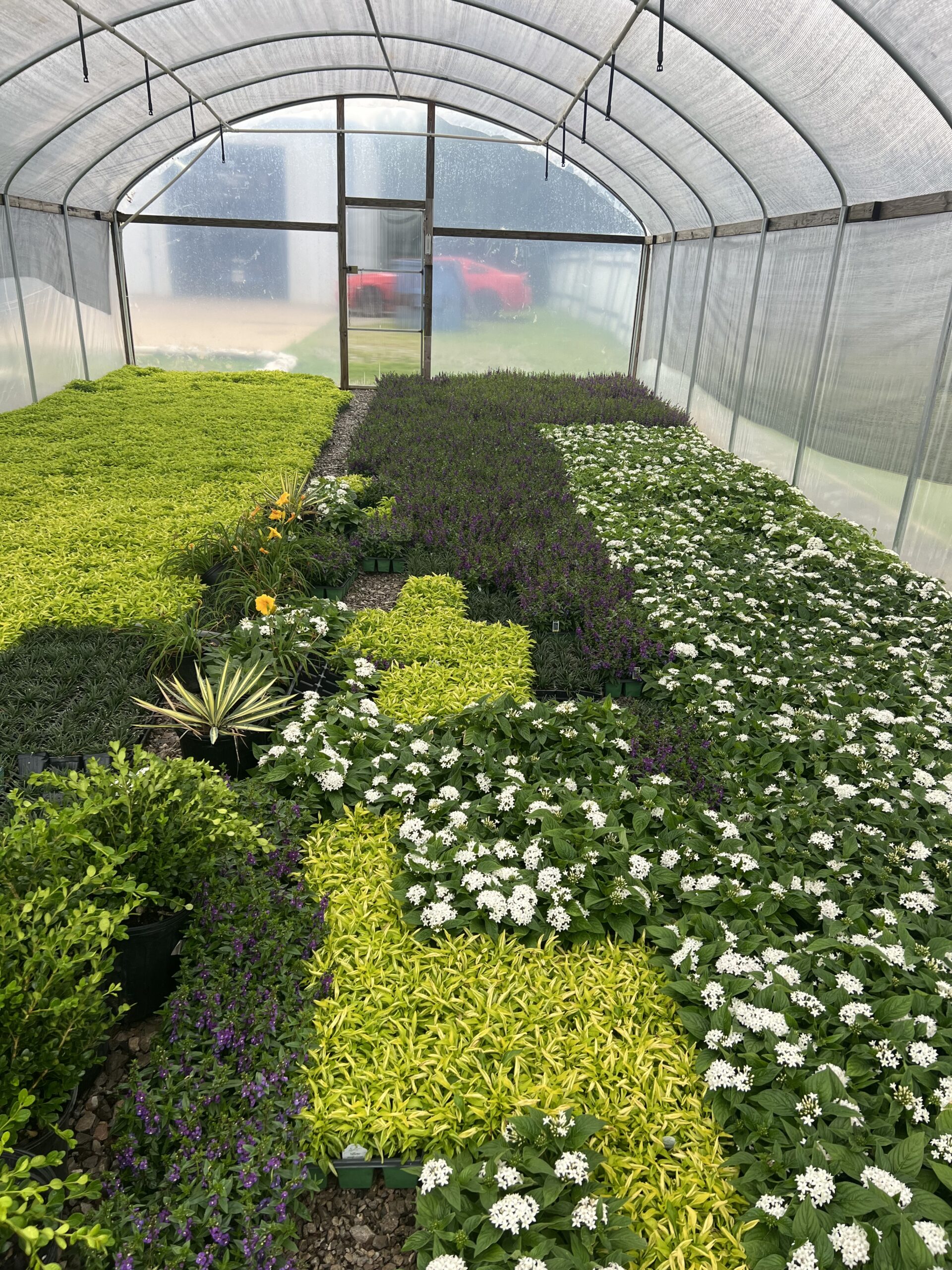 Perimeter Landscape - Transform Your Outdoor Living Space!